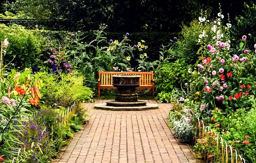 Home || Sprout & Grow